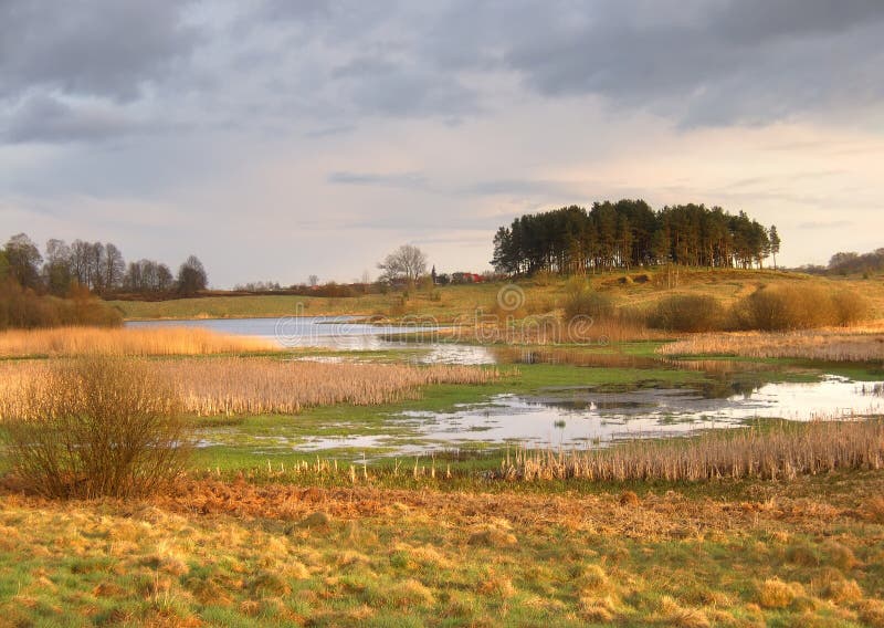 Spring fields stock photo. Image of grass, idyllic, trees - 595958