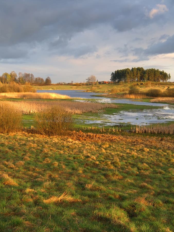 Spring fields stock photo. Image of grass, idyllic, trees - 595958