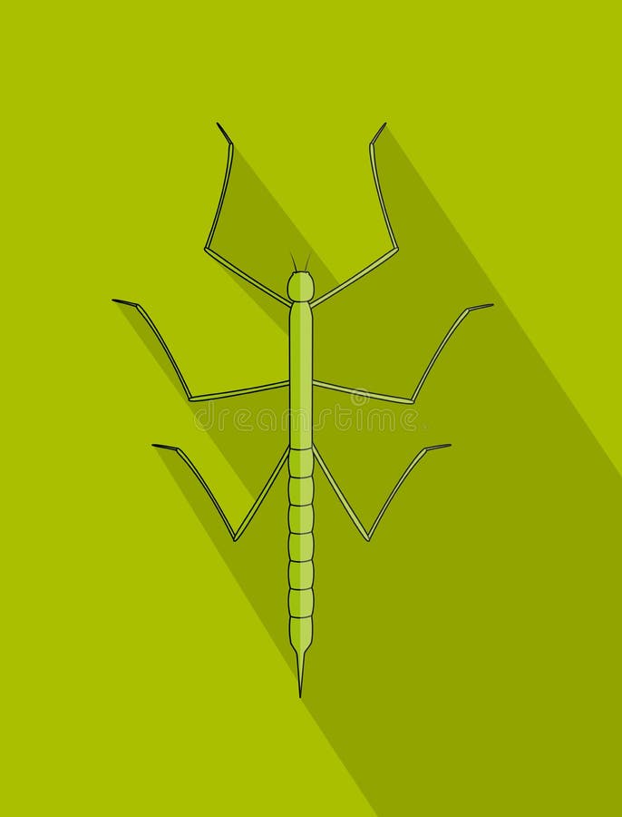 Wild Stick Insect stock vector. Illustration of centipede - 94293284