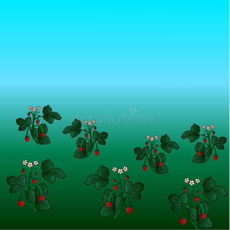 Wild Strawberries Field Background with Blue Sky Stock Vector ...