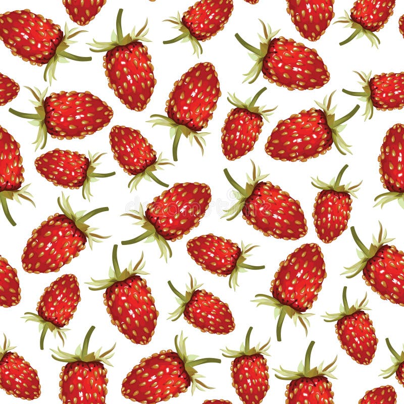 Wild Strawberries Pattern Seamless Stock Vector - Illustration of ...