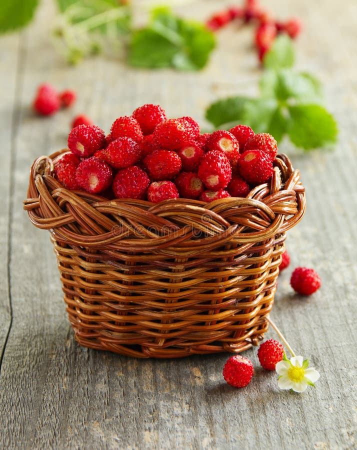 Wild strawberry stock image. Image of small, season, heap - 41013707