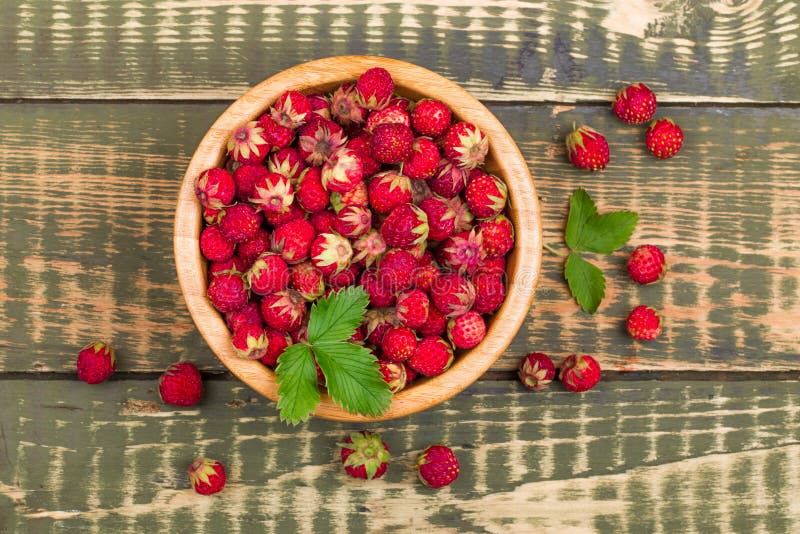 Wild strawberry on a table stock image. Image of fresh - 59137517