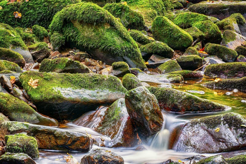 Wild Stream in a Stream Bed Stock Photo - Image of environment ...