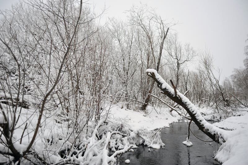 Wild stream stock photo. Image of stream, cool, frozen - 62253598