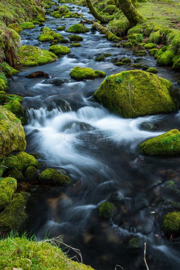 Wild Stream in Old Forest, Water Blurred in Motion Stock Image - Image ...