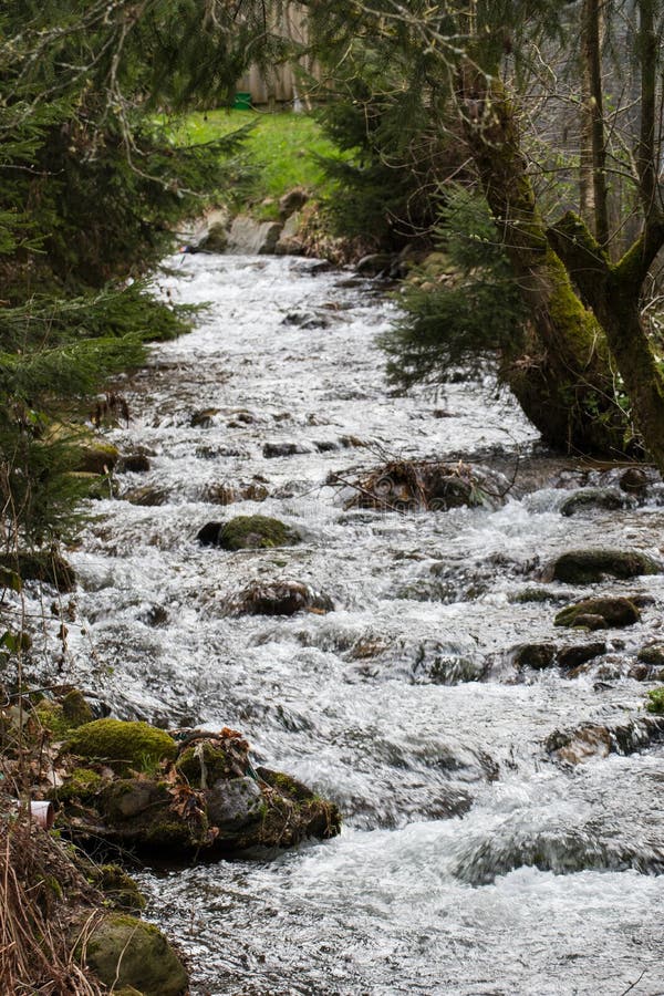 A wild stream in spring stock image. Image of fresh - 129529901