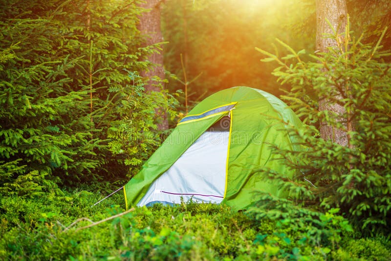 Wild Summer Camping stock photo. Image of survival, escape - 67166918