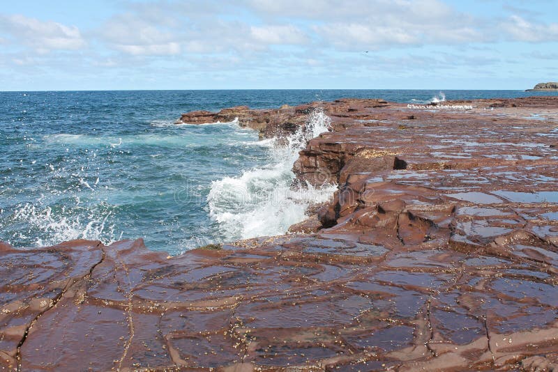 Wild Surf stock image. Image of huge, foam, powerful, frothing - 3074535