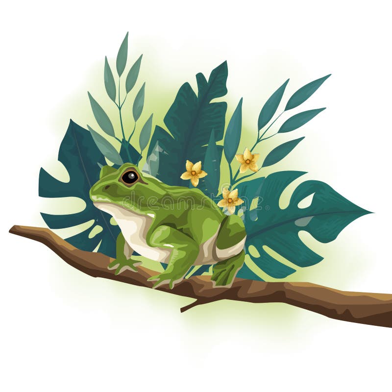 Toad Stock Illustrations – 25,319 Toad Stock Illustrations, Vectors ...