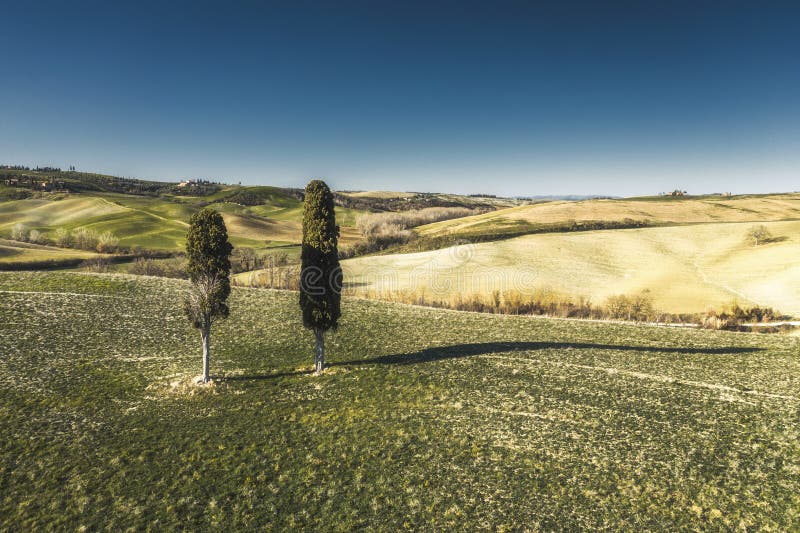 Wild Trees in the Middle of Beautiful Fields Stock Photo - Image of ...