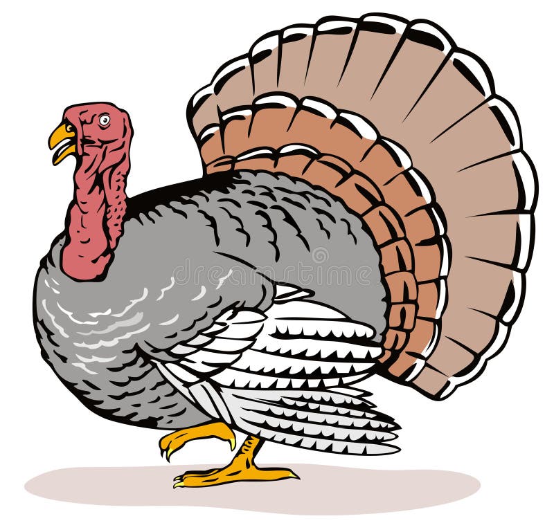Wild turkey side view stock vector. Illustration of thanksgiving - 3257917