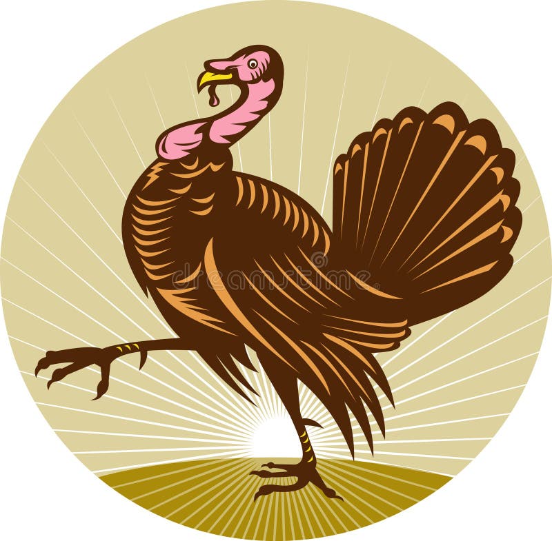 Wild Turkey Stock Illustrations – 5,441 Wild Turkey Stock Illustrations ...