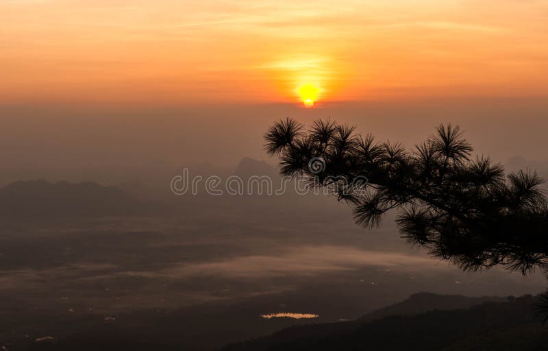 Wild twilight time stock image. Image of black, terrain - 50385401