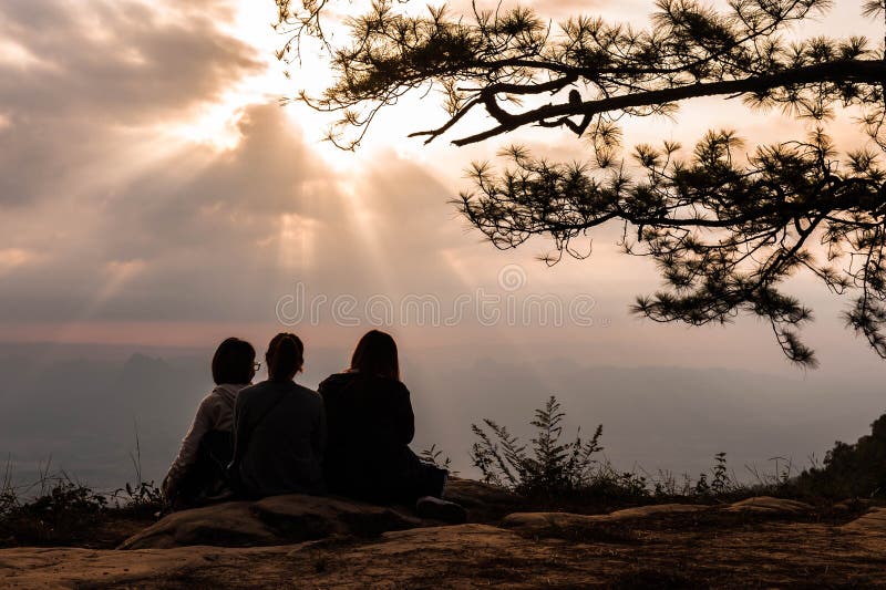 Wild twilight time editorial image. Image of environment - 50385415