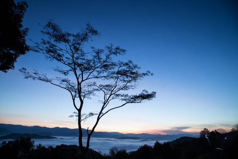 Wild twilight time stock image. Image of scene, open - 40720835