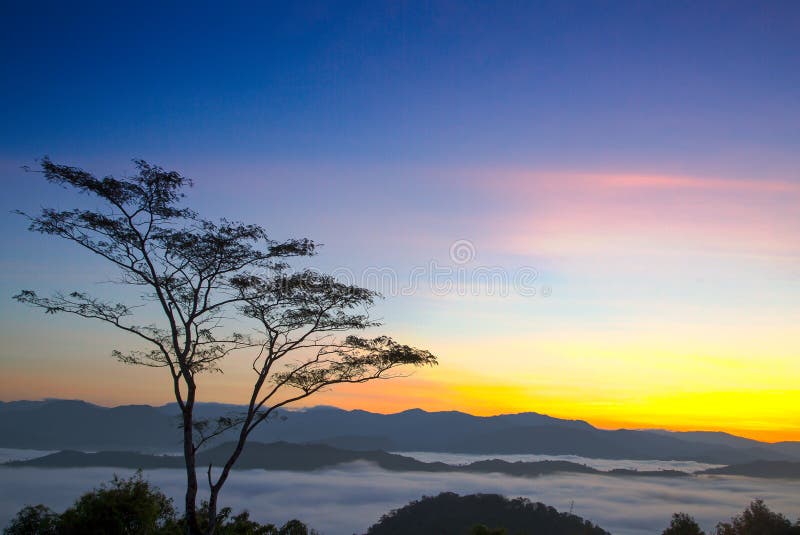 Wild twilight time stock photo. Image of light, glowing - 40720962