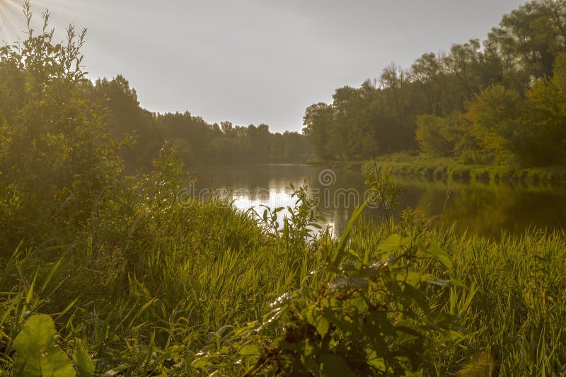 A Wild, Unregulated River with Banks Covered with Lush Vegetation - on ...