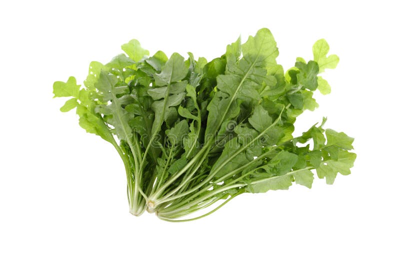 Wild vegetable stock image. Image of purse, produce, white - 22297083