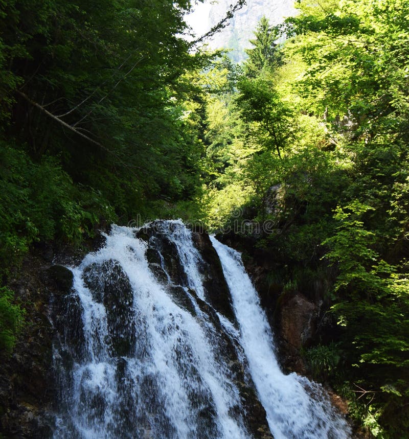 A Wild Waterfall in the Forest Stock Image - Image of landscape ...