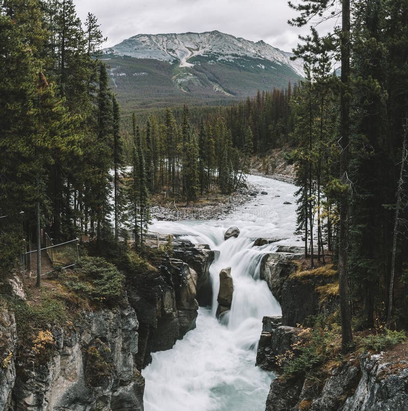 Wild Waterfall and Forests All Around Stock Photo - Image of grass ...