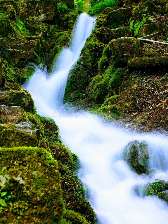 A Wild Waterfall in the Jungle Stock Photo - Image of woodland, water ...