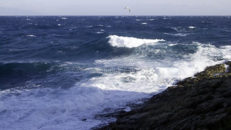 Wild waves stock photo. Image of south, roller, whitecaps - 1668174