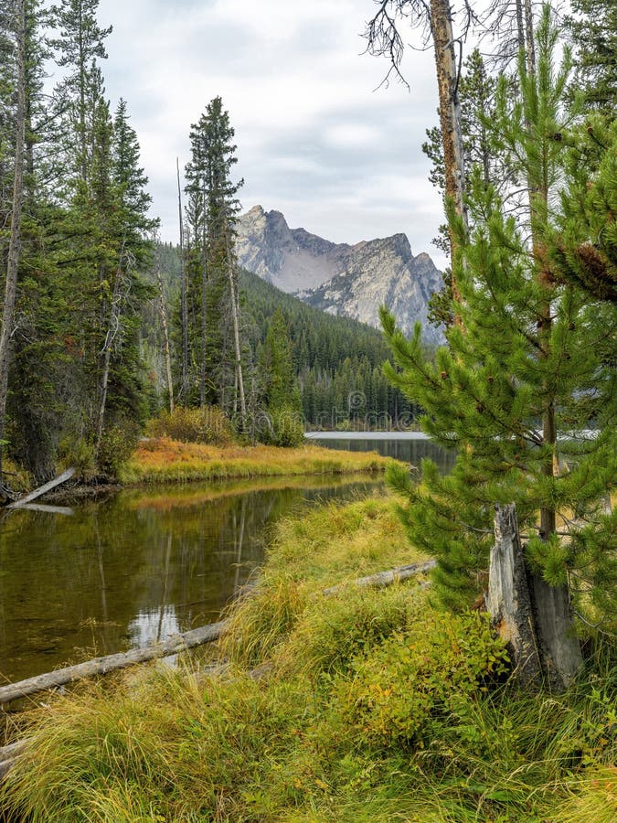 Wild Wilderness of Idaho in the Sawtooth Mountains Stock Image - Image ...