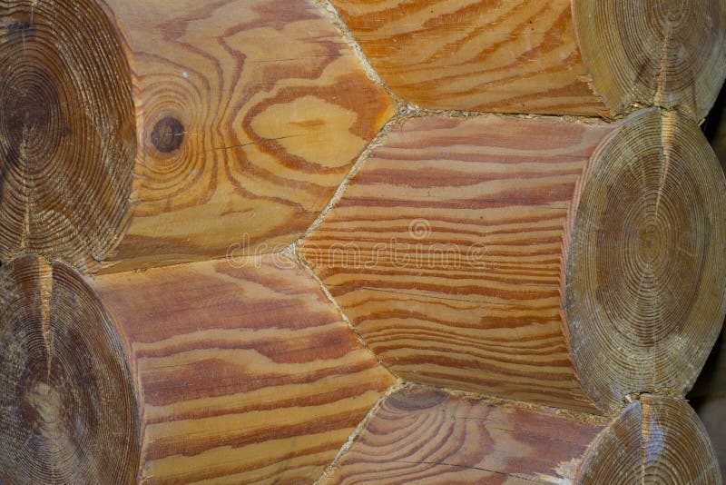 Wild wooden house stock image. Image of background, construction - 50409745