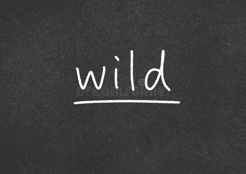 Wild stock image. Image of conceptual, blackboard, word - 195513147