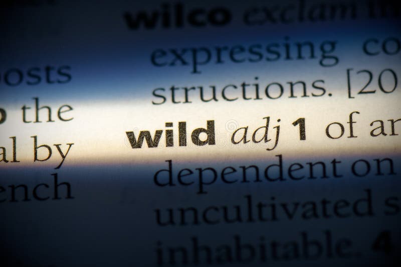 3,958 Wild Word Photos - Free & Royalty-Free Stock Photos from Dreamstime