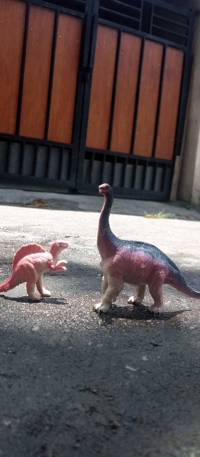 Wild world animals stock image. Image of wild, wildlife - 265821245