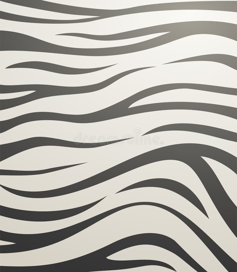 Wild zebra texture stock vector. Illustration of white - 233355048