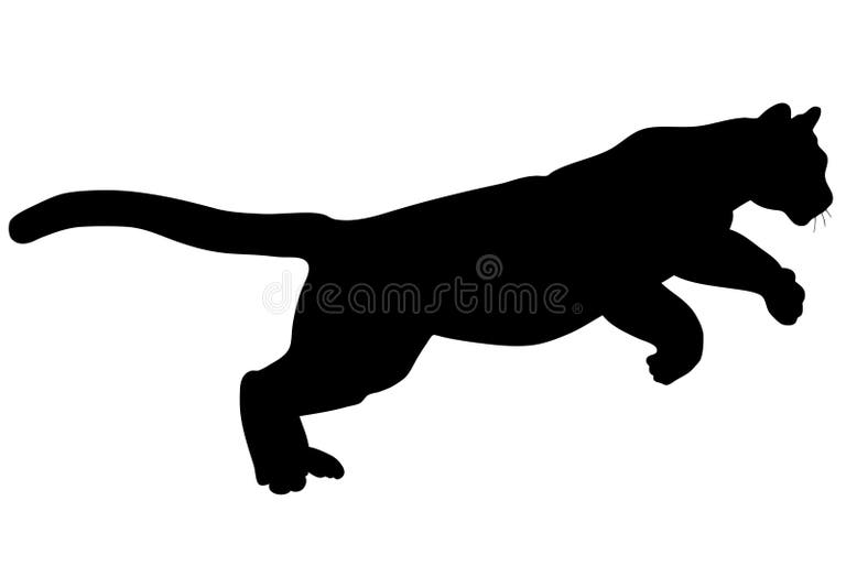 Jumping Wildcat Stock Illustrations – 993 Jumping Wildcat Stock ...