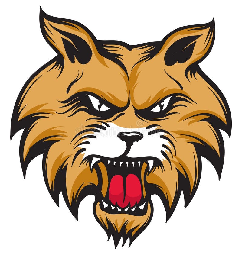 Wildcat stock vector. Illustration of head, cool, comic - 49002695