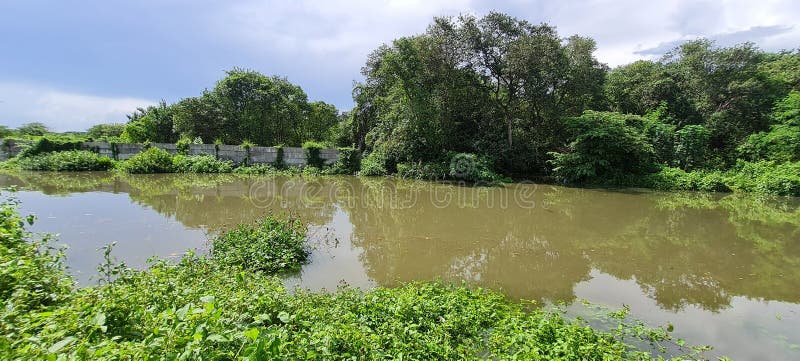 Quietly wash away stock image. Image of wash, quietly - 262257637