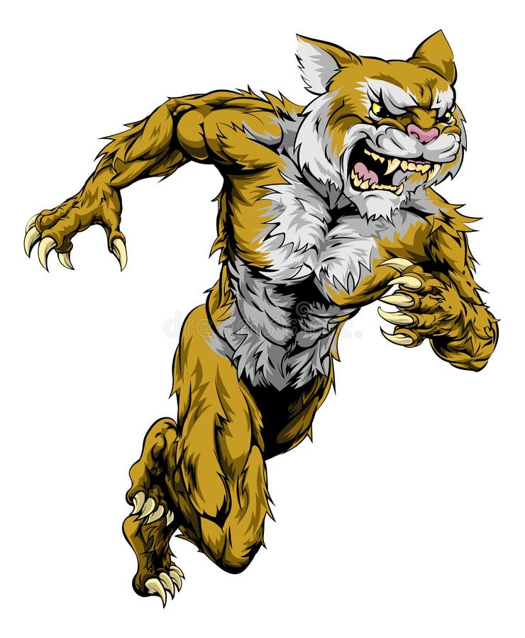 Wildcat Mascot Logo Stock Illustrations – 3,985 Wildcat Mascot Logo ...