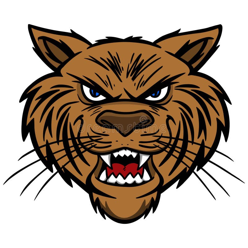 Wildcat stock vector. Illustration of bobcat, cartoon - 72949462