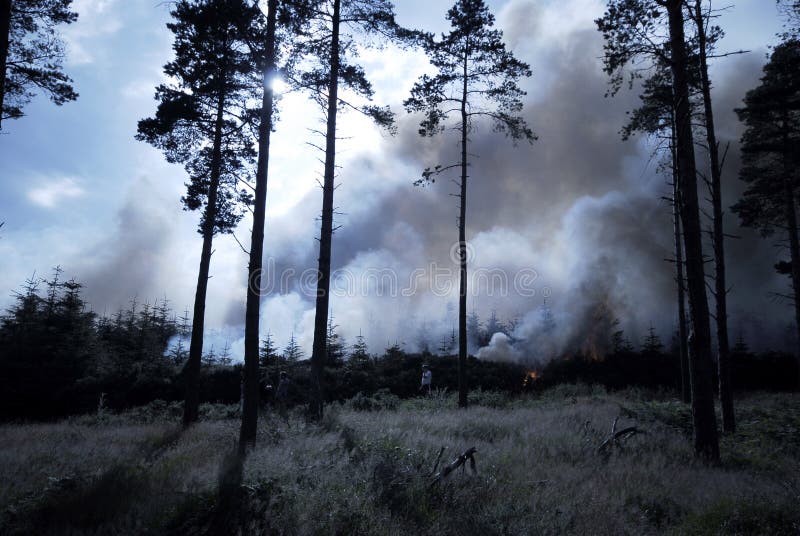 Wilde BosBrand stock afbeelding. Image of vuurvuur, verspreiding - 998821