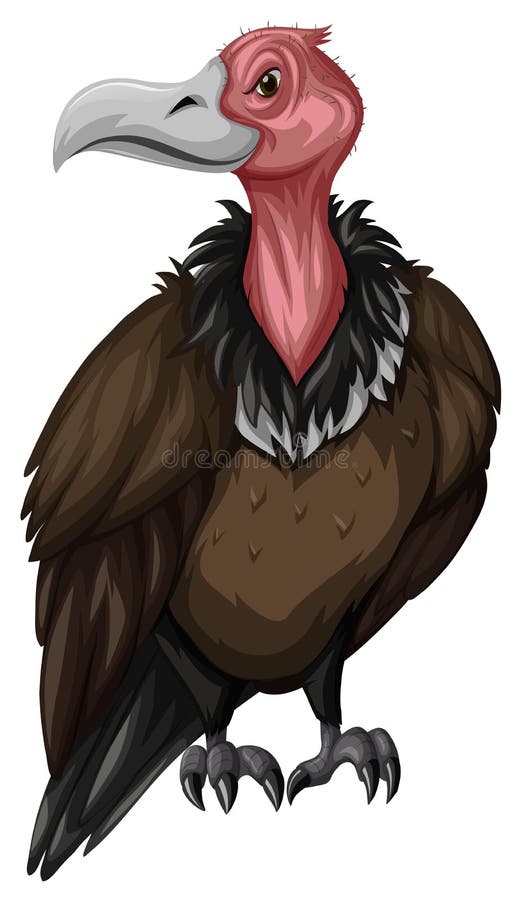 Wilde Gier Op Witte Achtergrond Vector Illustratie - Illustration of ...