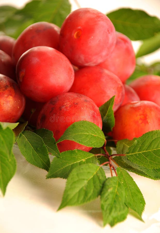 Wilde rote Pflaumen stockbild. Bild von diät, knochen - 24997633