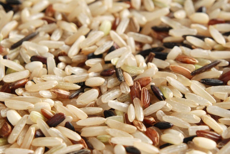 Wilde Rijst stock foto. Image of korrel, japans, bruin - 5831194