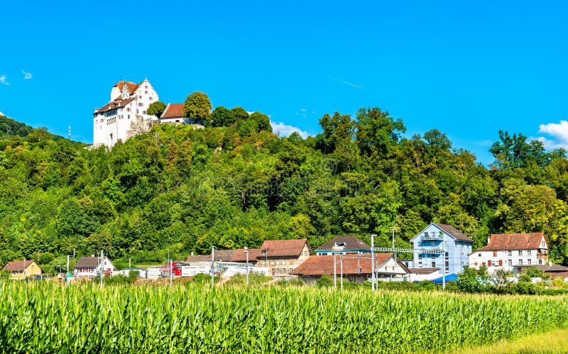 Wildegg Castle Above a Cornfield in Switzerland Stock Image - Image of ...