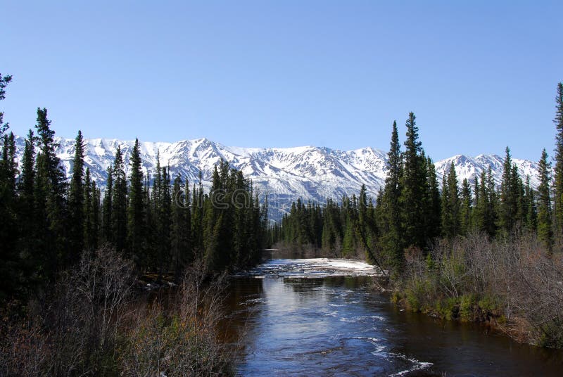 Fluss durch Alaska stockbild. Bild von alaska, fluss - 21718771