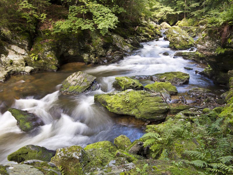 Wilder Fluss Mit Moosigen Steinen Im Wald Stockbild - Bild von schön ...