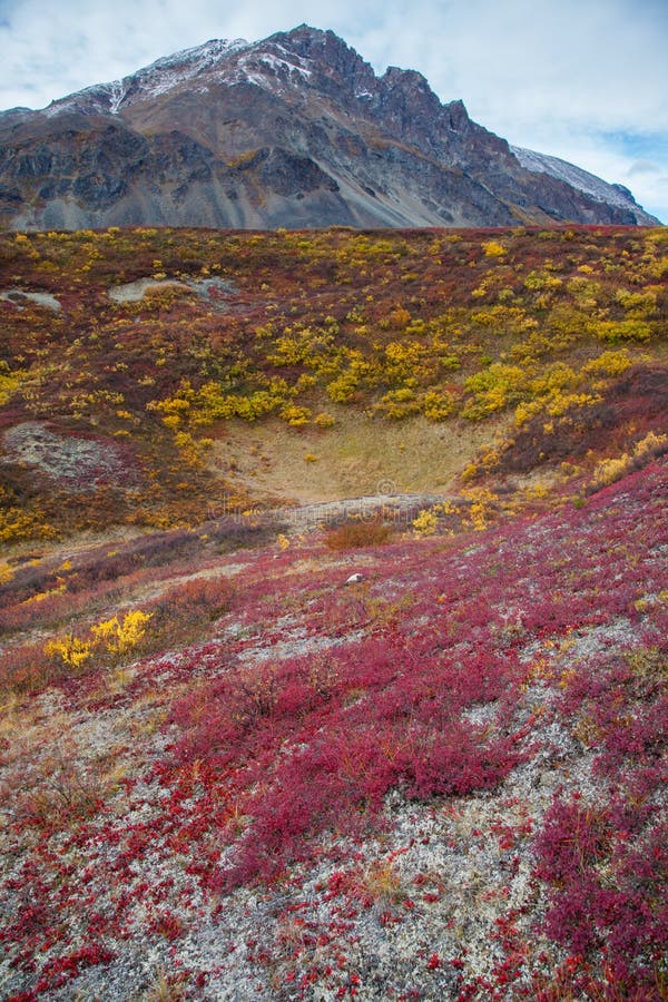 Yukon Arctic Tundra in Fall Colors Stock Photo - Image of eskimo ...