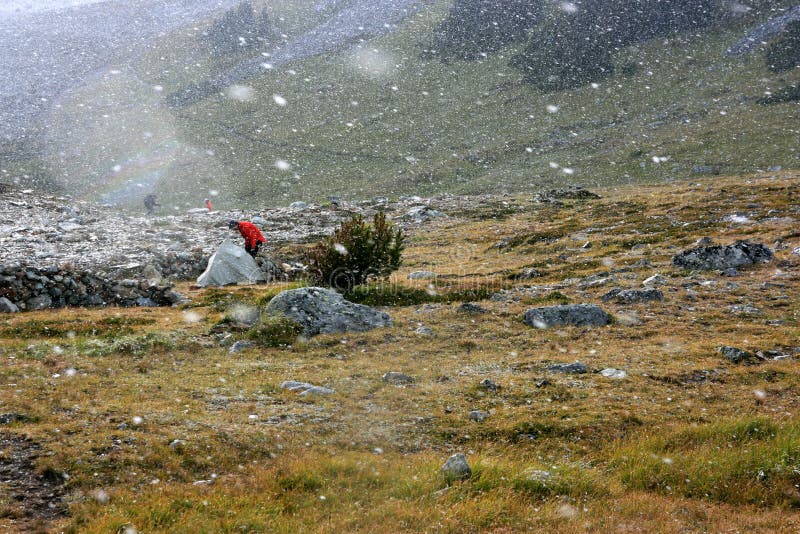 Snow Storm in the Suburbs stock photo. Image of canada - 4567782