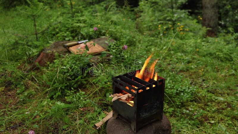 Wilderness Cooking: Open Fire Roasting Stock Footage - Video of branch ...