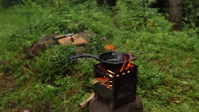 Wilderness Cooking: Open Fire Roasting Stock Video - Video of cooking ...