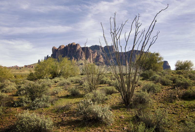 Desert Trail stock image. Image of hike, environment, parched - 931455